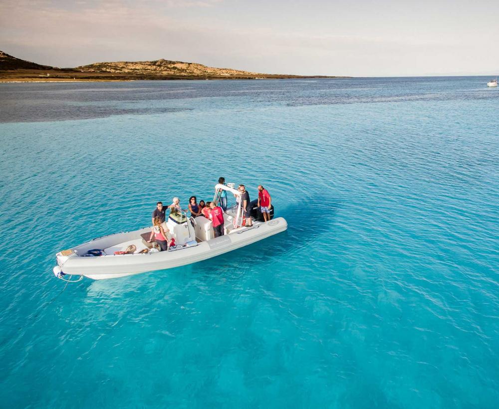 escursioni/escursioni-in-gommone | Wild Asinara Park